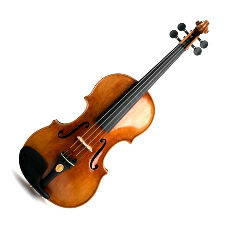 High-Quality Berdani Violin End Buttons: Aid Performance, Optimize ...